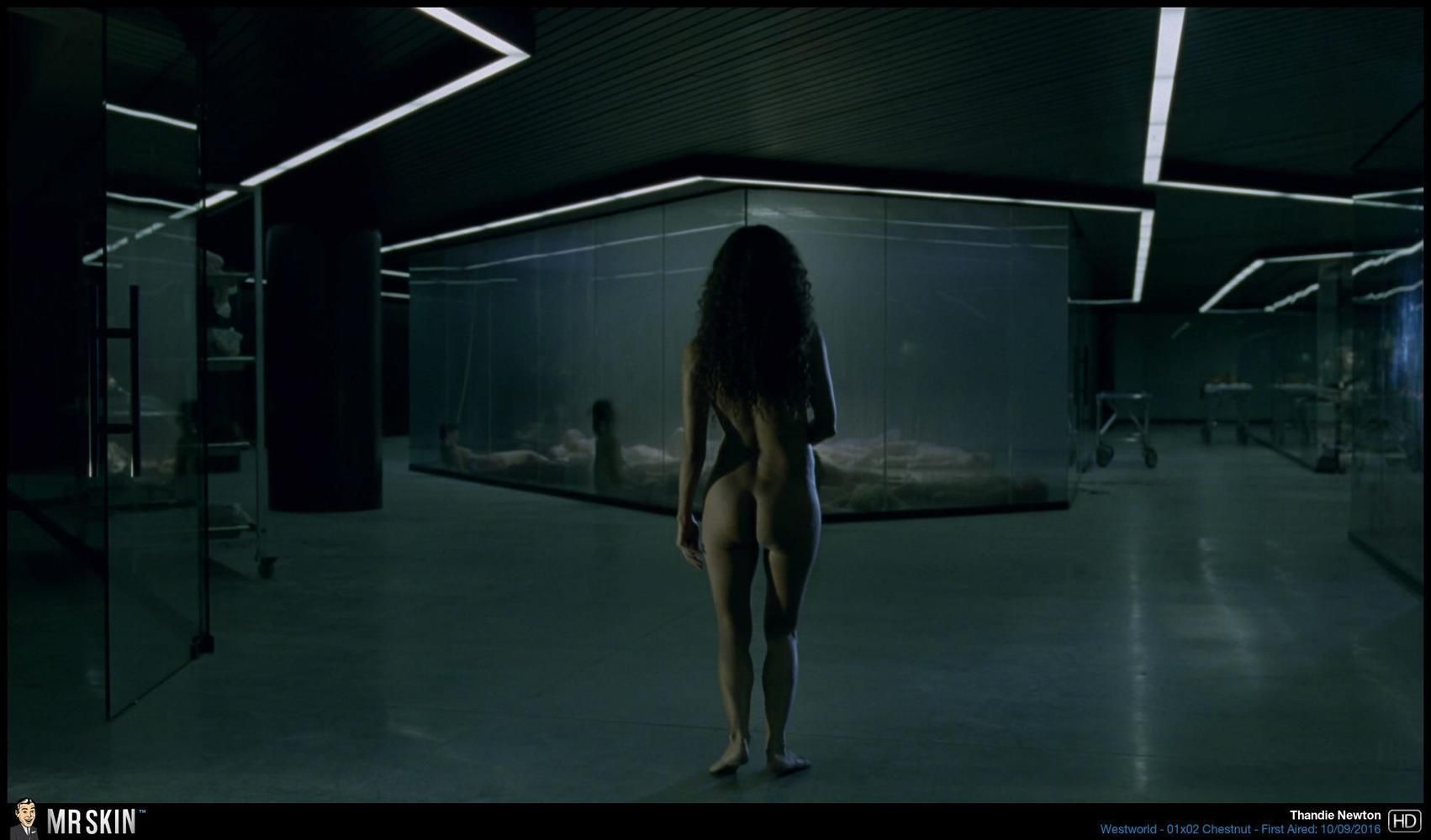 Battle Of The Babes Zoe Saldana Vs Thandie Newton