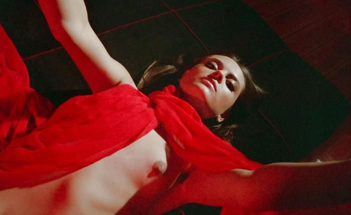 Staff Picks Lesbian Vampires