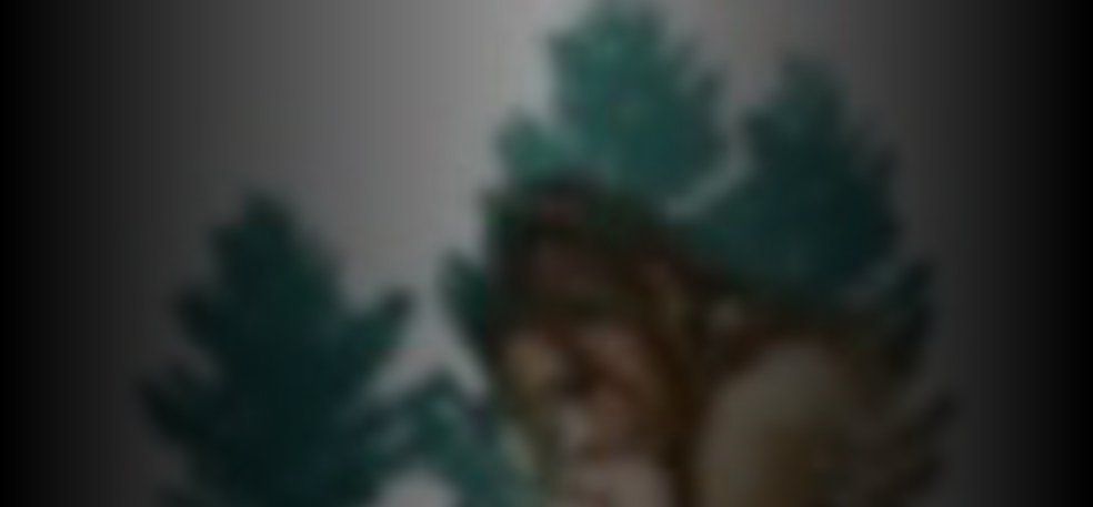 Hottest Scenes From Sequoia 2014 Sexy Pics And Clips Mr Skin